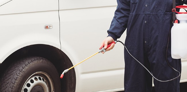 Santee CA Pest Control & Exterminator